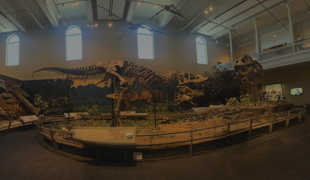 Kamin Family Foundation – Home Page