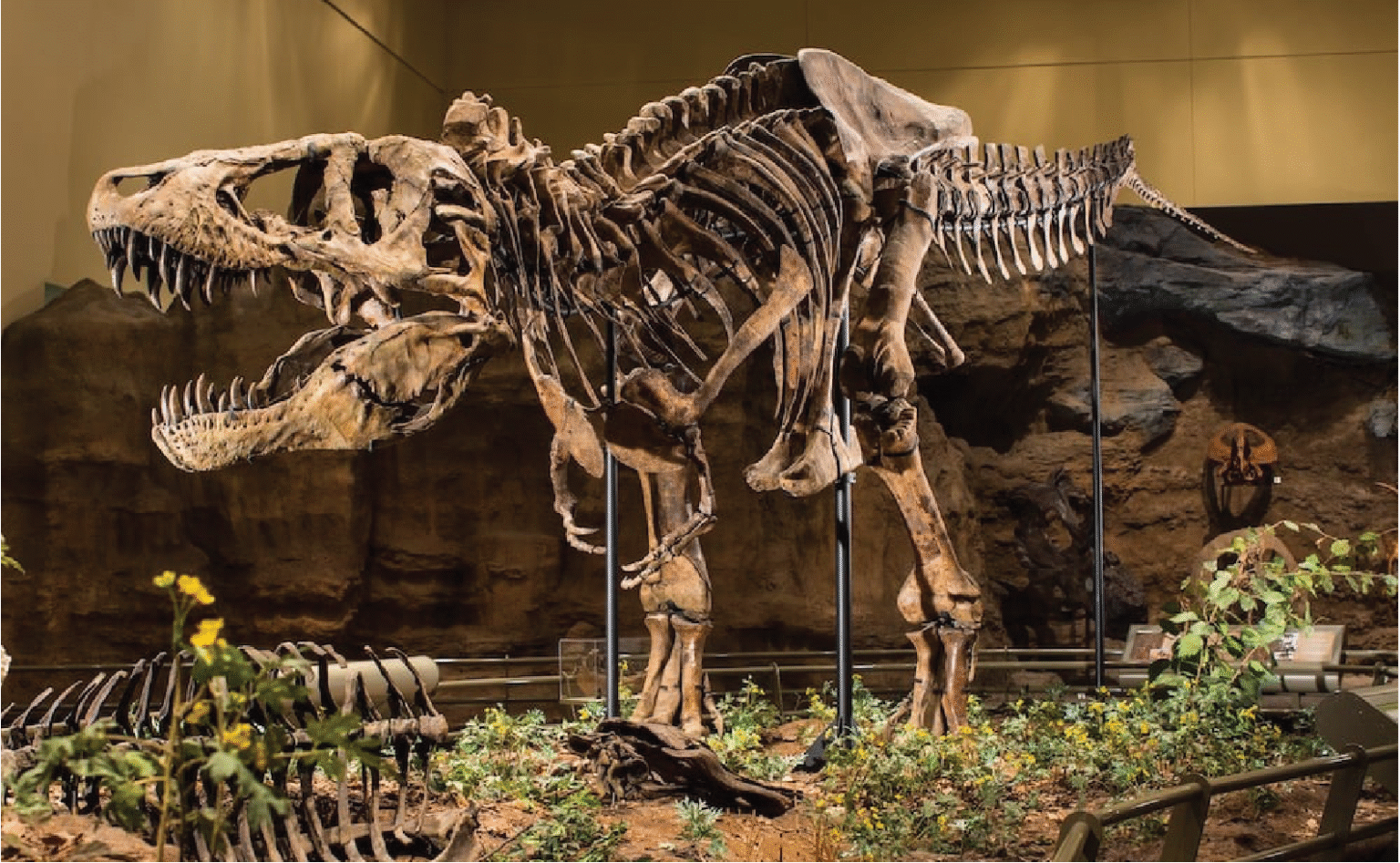 Kamin Family Foundation – Home Page